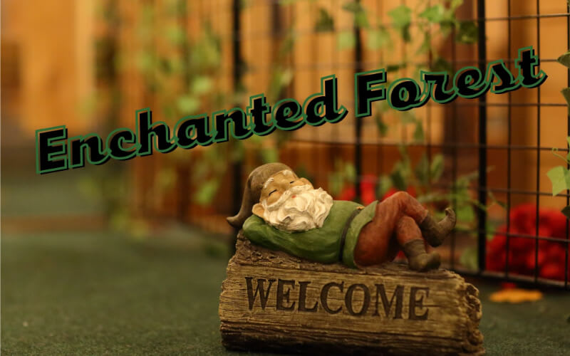 Enchanted Forest Escape Room | Escape Space Games