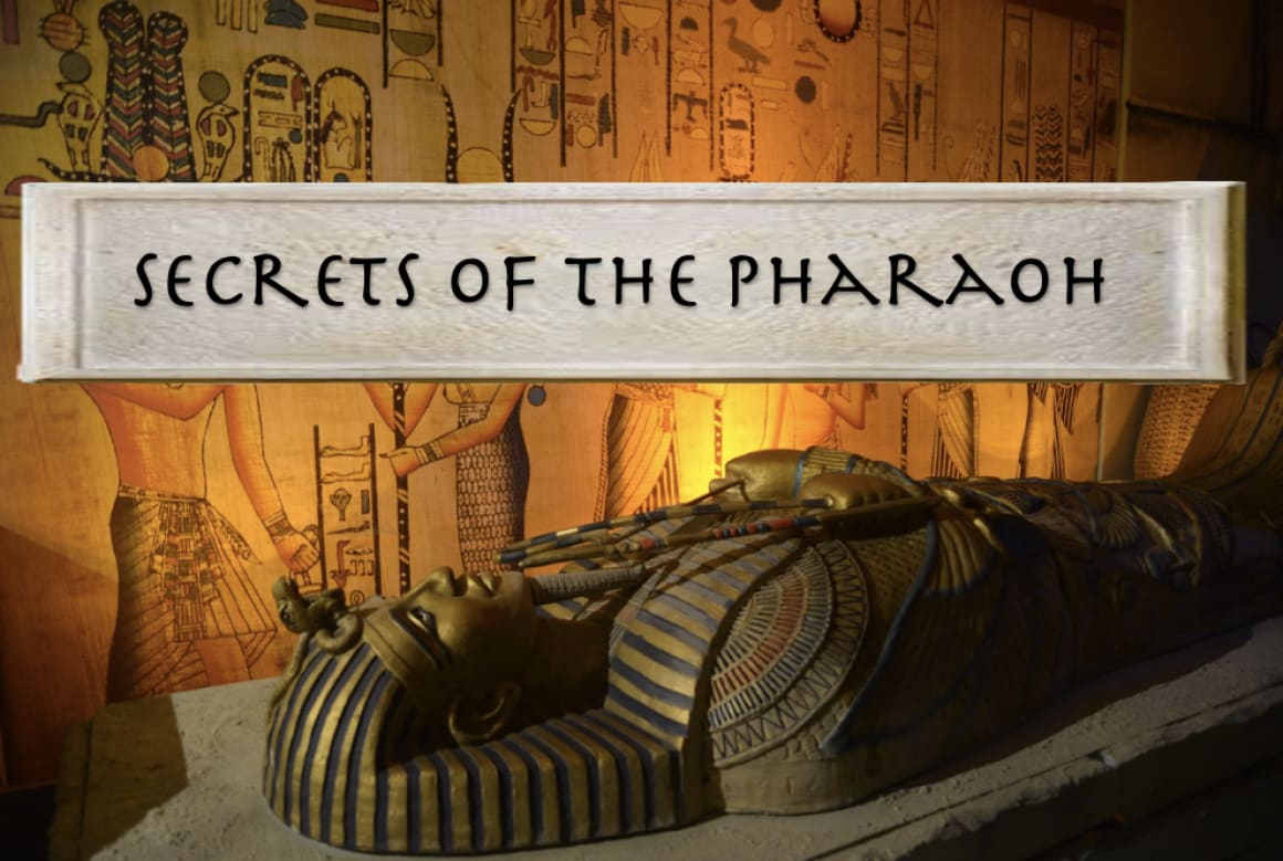 Secrets of the Pharaoh Escape Room | Radical Escape Rooms