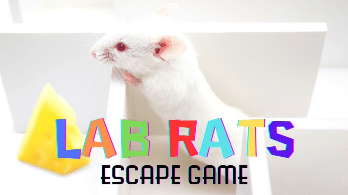 Lab Rats Escape Room | The Panic Room Don't Panic - Gift Shop