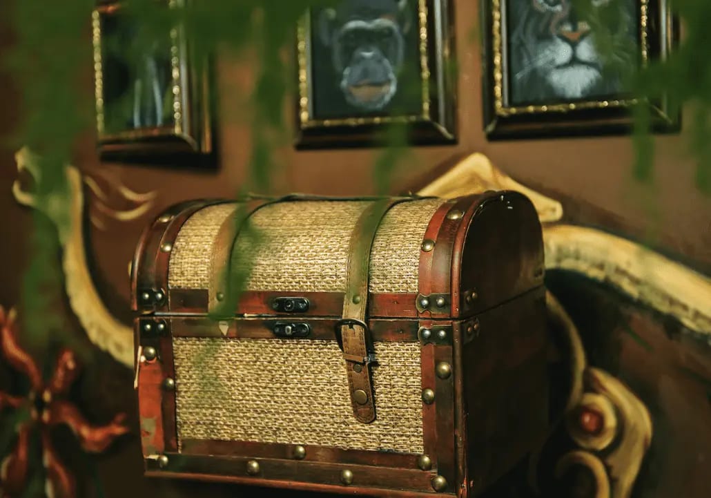 The Jungle Escape Room | LOST REALITY Escape Room Cannington