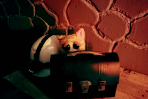 Meow Mine Escape Room | Escape 307 - Rock Springs