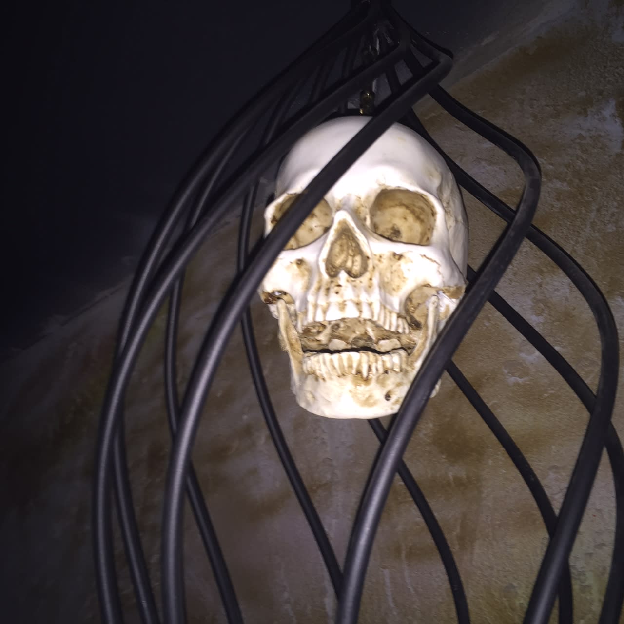 The Dungeon Escape Room | Escape Room Oz Caloundra