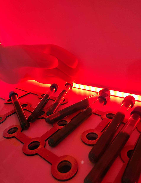 Eden's Laboratory Escape Room | Border Escape