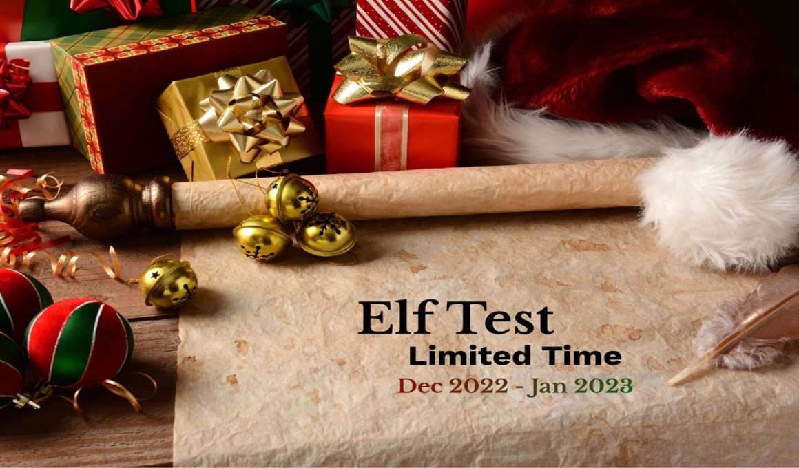 The Elf Test Escape Room | MPower