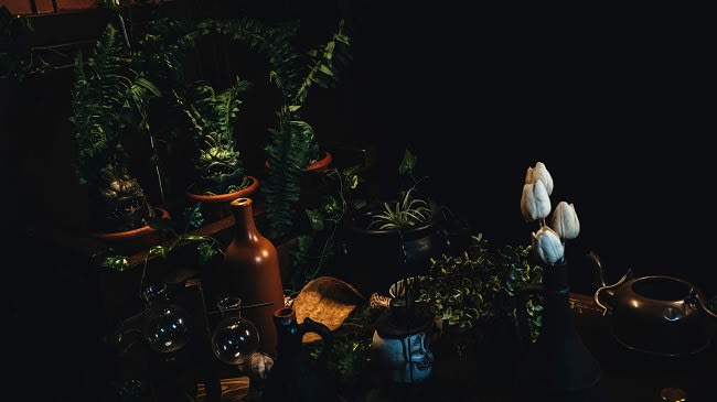 Cursed Academy Escape Room | A/Maze West Island