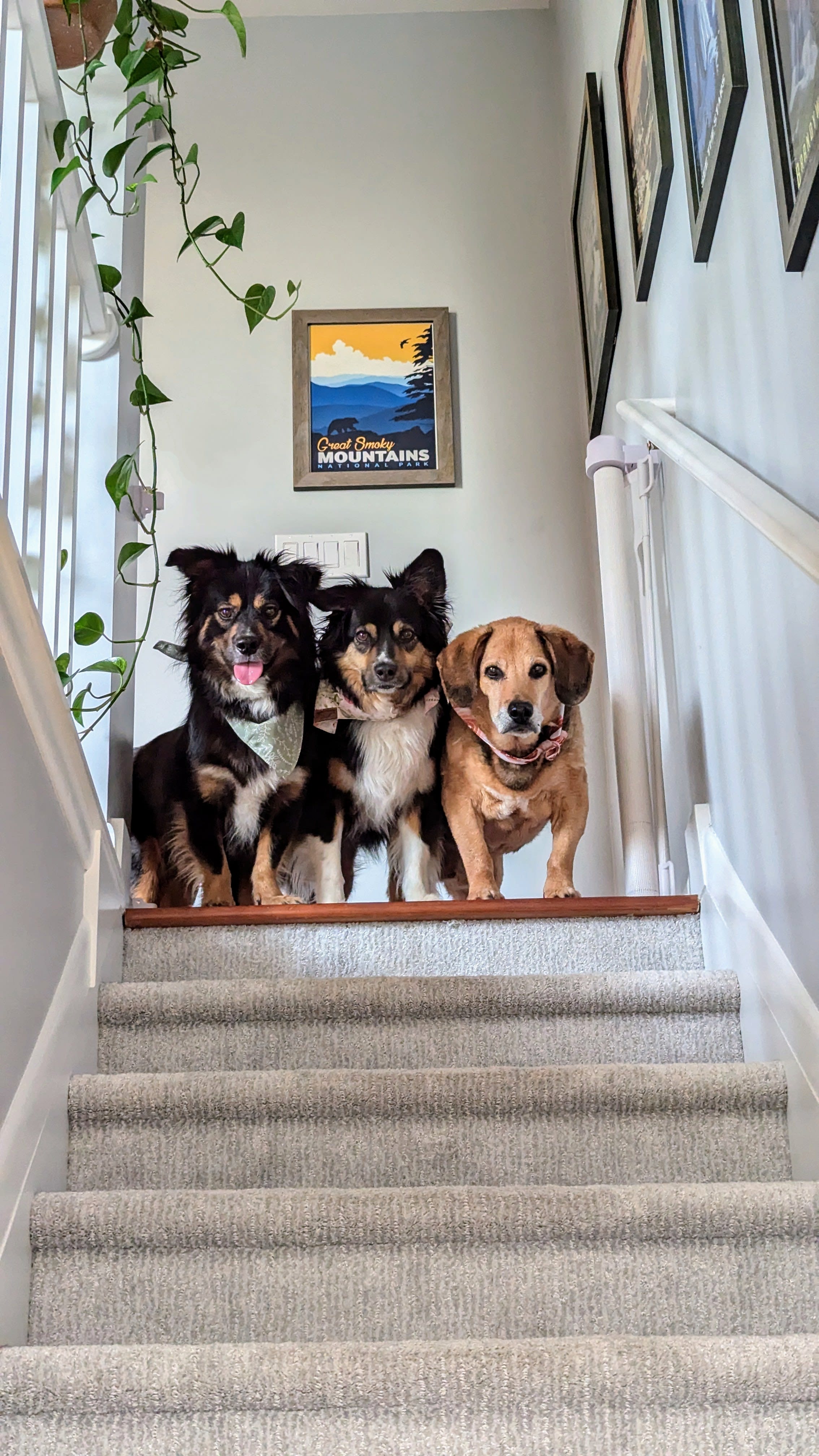 Brie and Garrett Hooper (@Cassiopeia) on Morty