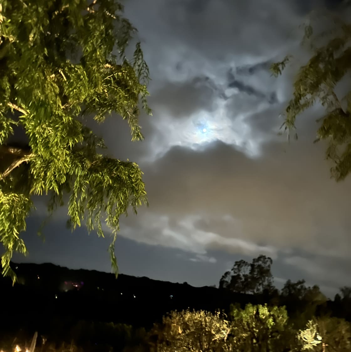 Danielle Rager (@drager) on Morty