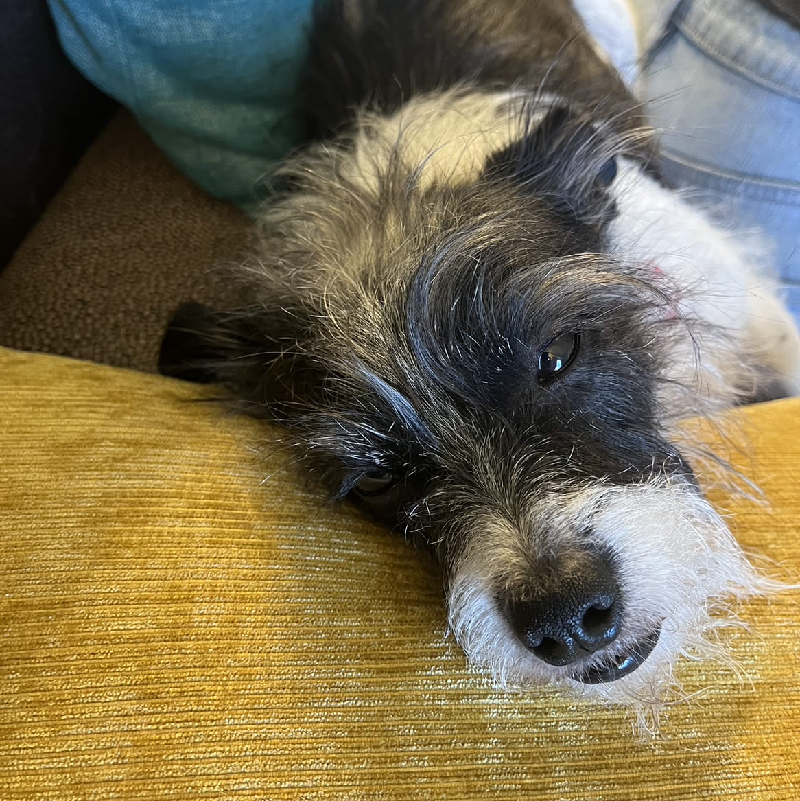 hobbler (@hobbler) on Morty
