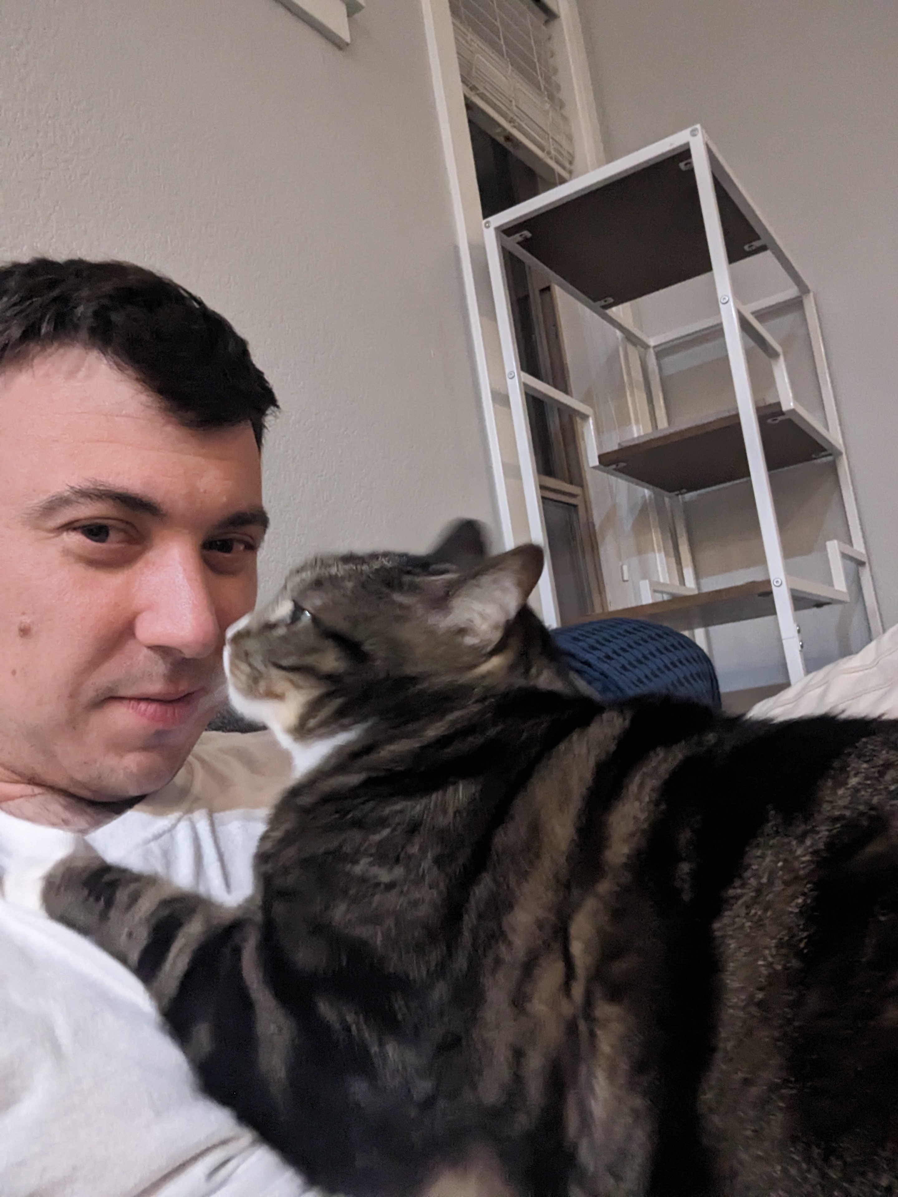 Chris DeAngelis (@Topher319) on Morty