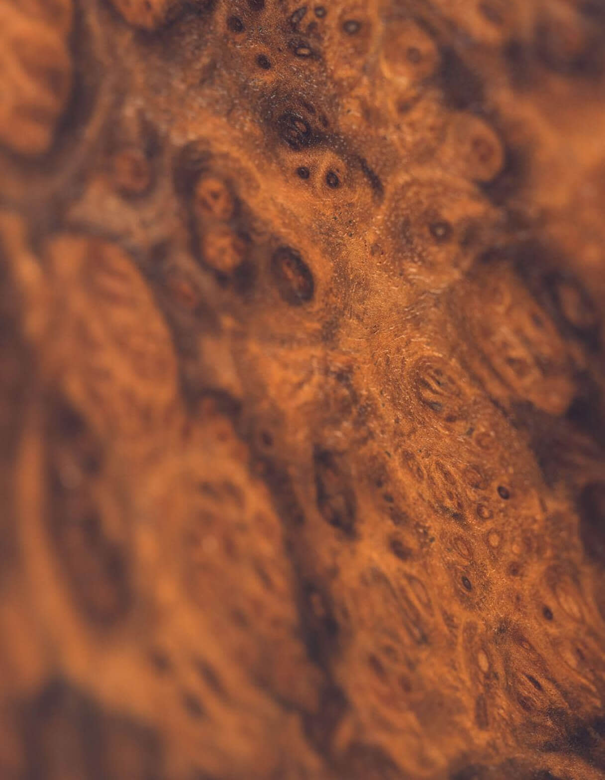 An extraordinary world