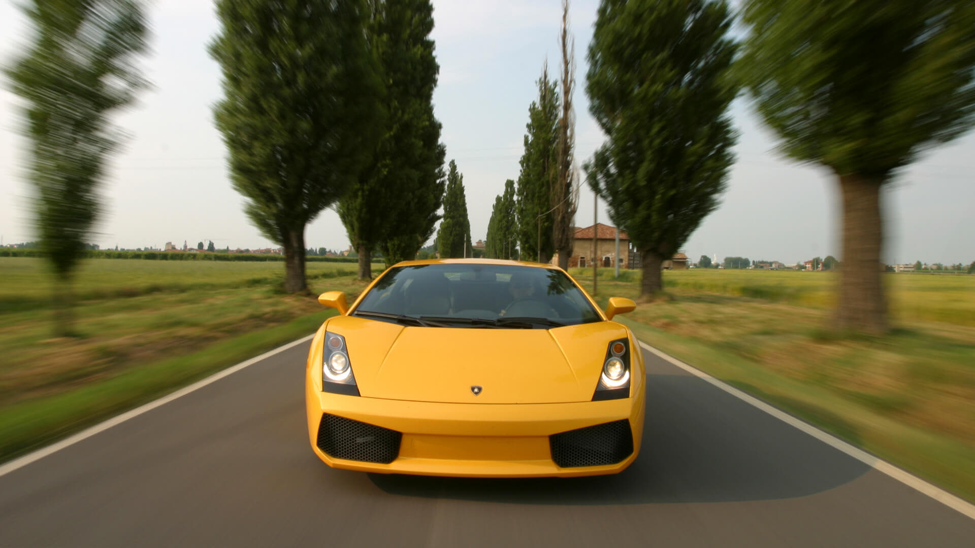 Gallardo