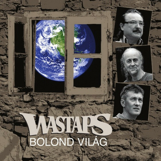 Bolond világ