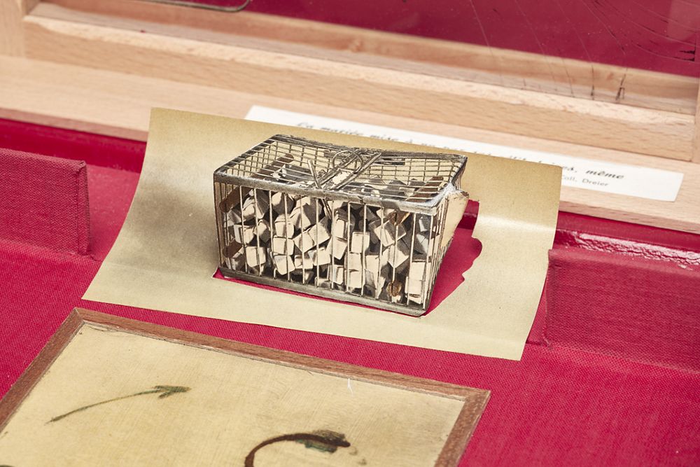 M+ Duchamp