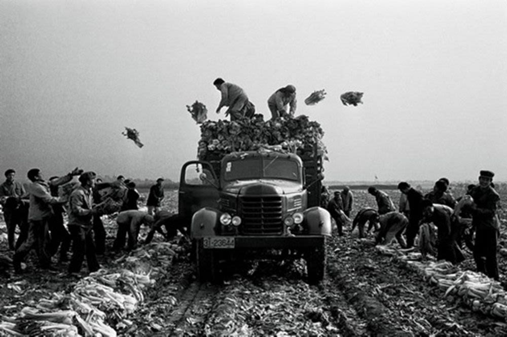 China After Mao—Cabbage Tossing to Truck, Beijing (1980) - Liu Heung ...