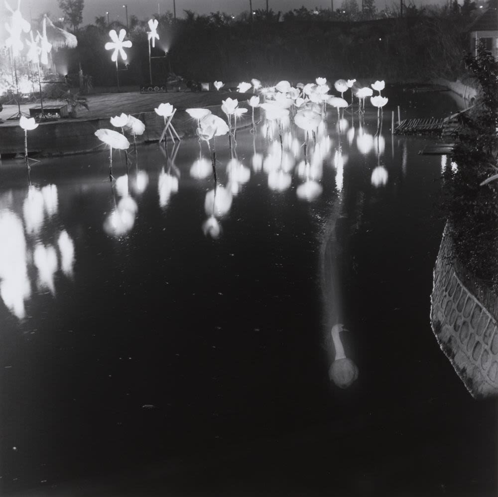 Zoo at Night (2002) - Yan Changjiang | Objects | M+ Museum