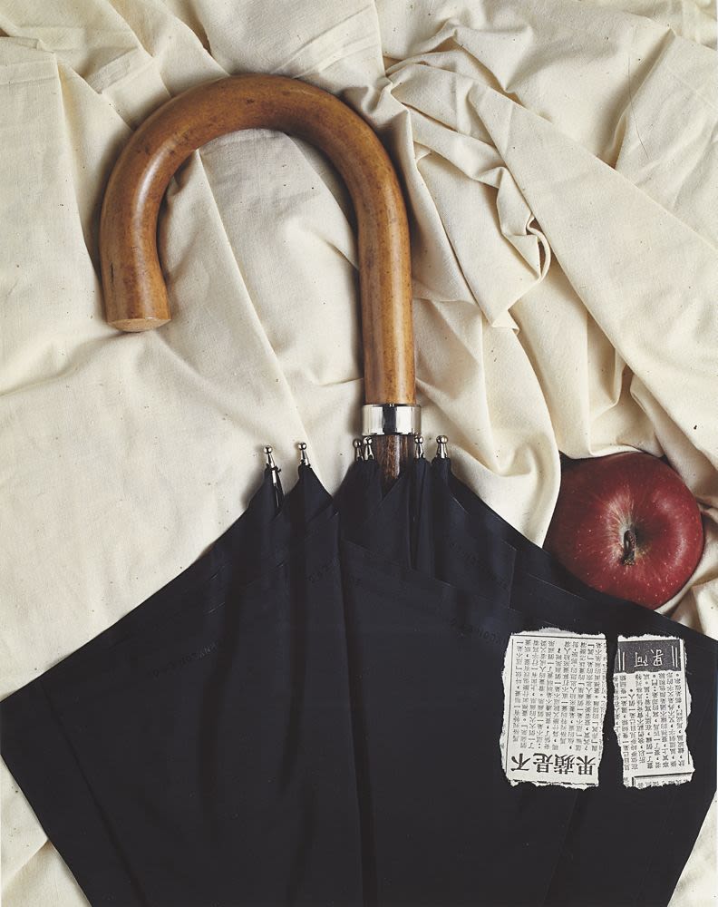 This is not an Apple (1980) - Lee Ka-sing | Objects | M+