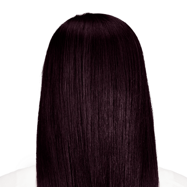 Dark Plum Black Hair Dye Kit | Palermo Black 3NVV | Madison Reed
