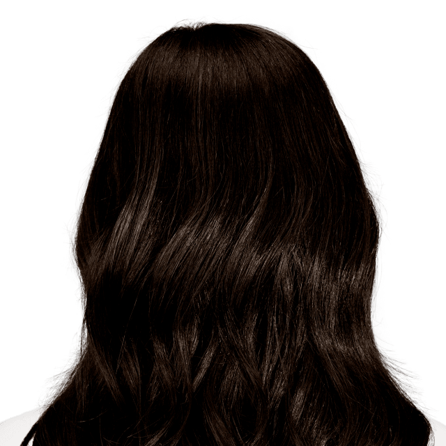 Golden Bronze Hair Color