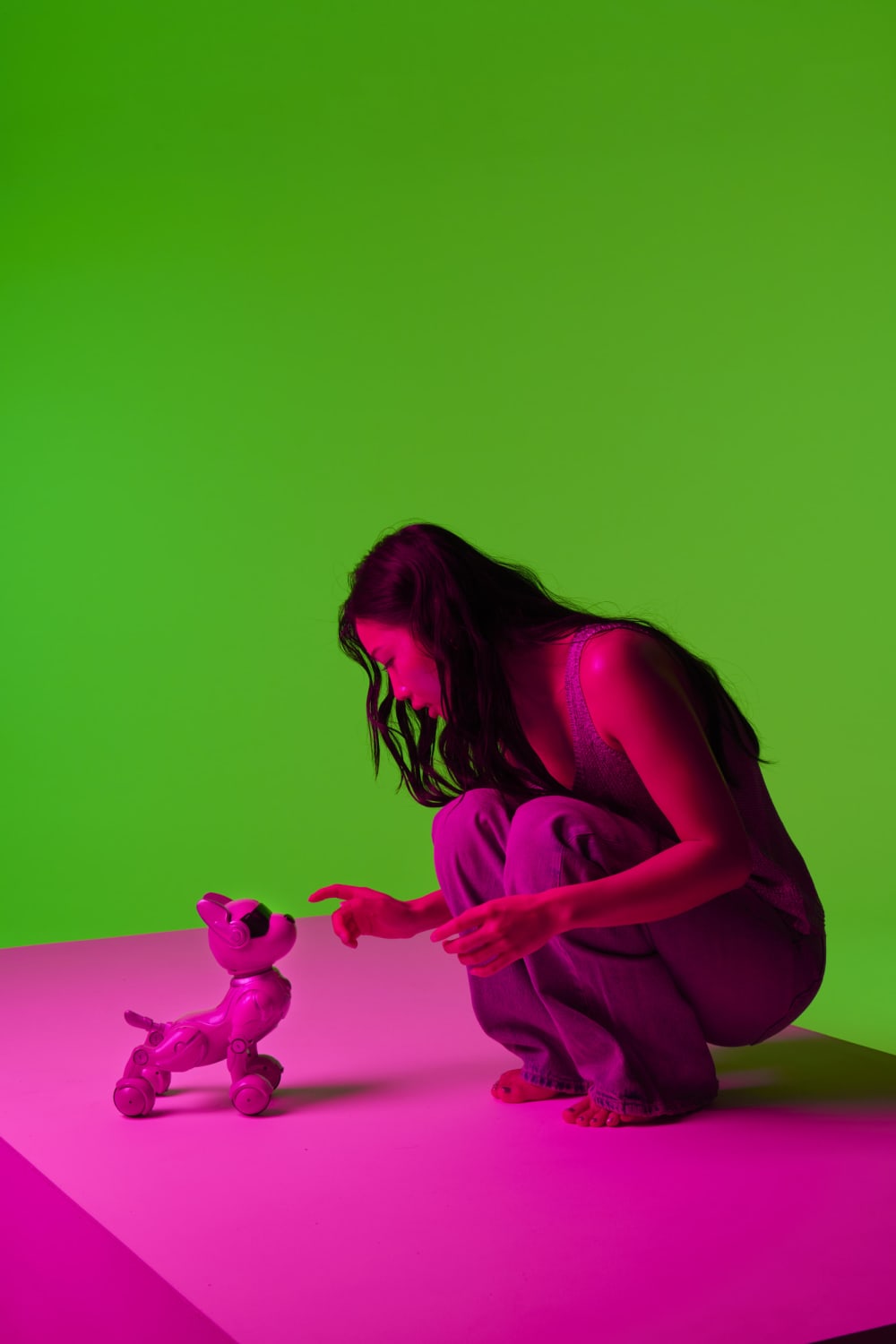 The Robot Dog trailer | Melbourne Theatre Company