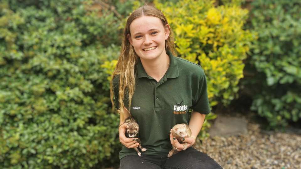 Exotic Explorers: The Experienced Human Team