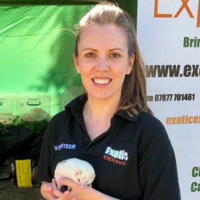 Exotic Explorers: The Experienced Human Team