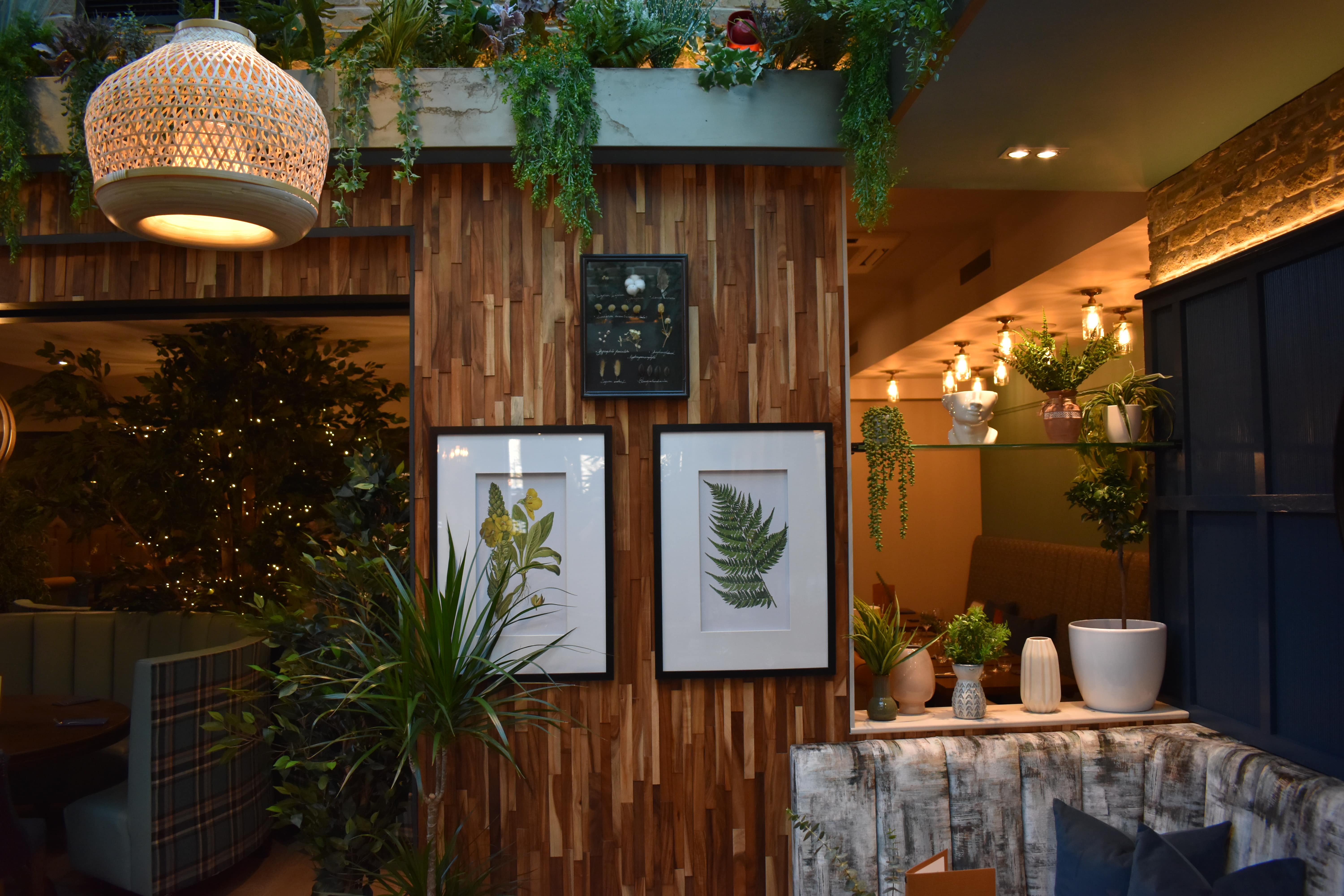 Illuminating The Albyn, Aberdeen | Mullan Lighting