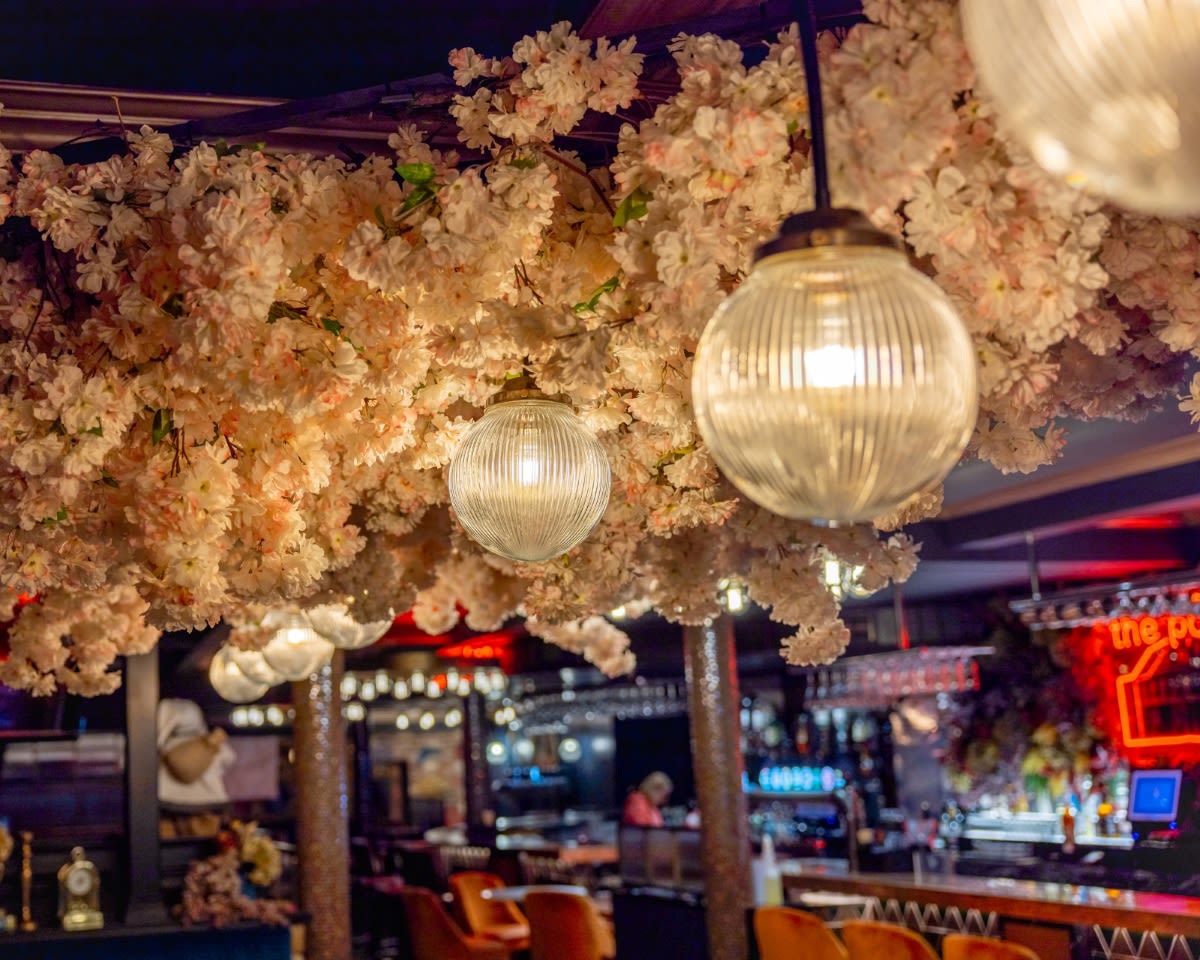 Wendy McConnell Breathes New Life into The Poc | Mullan Lighting