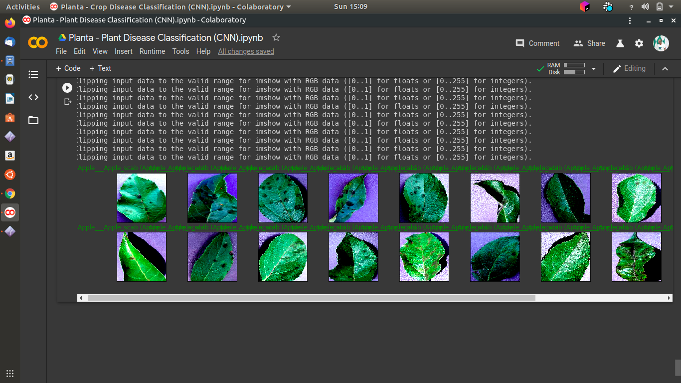GitHub - Musbell/Plant-disease-classification: Plant disease classification ( Pytorch )