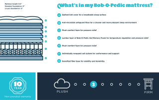 Power Bob Elite Base with Charm 8.5'' Twin XL Plush Mattress | Bob's ...