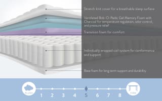 Power Bob Elite Base with Prize Hybrid 10'' Queen Firm Mattress | Bob's ...