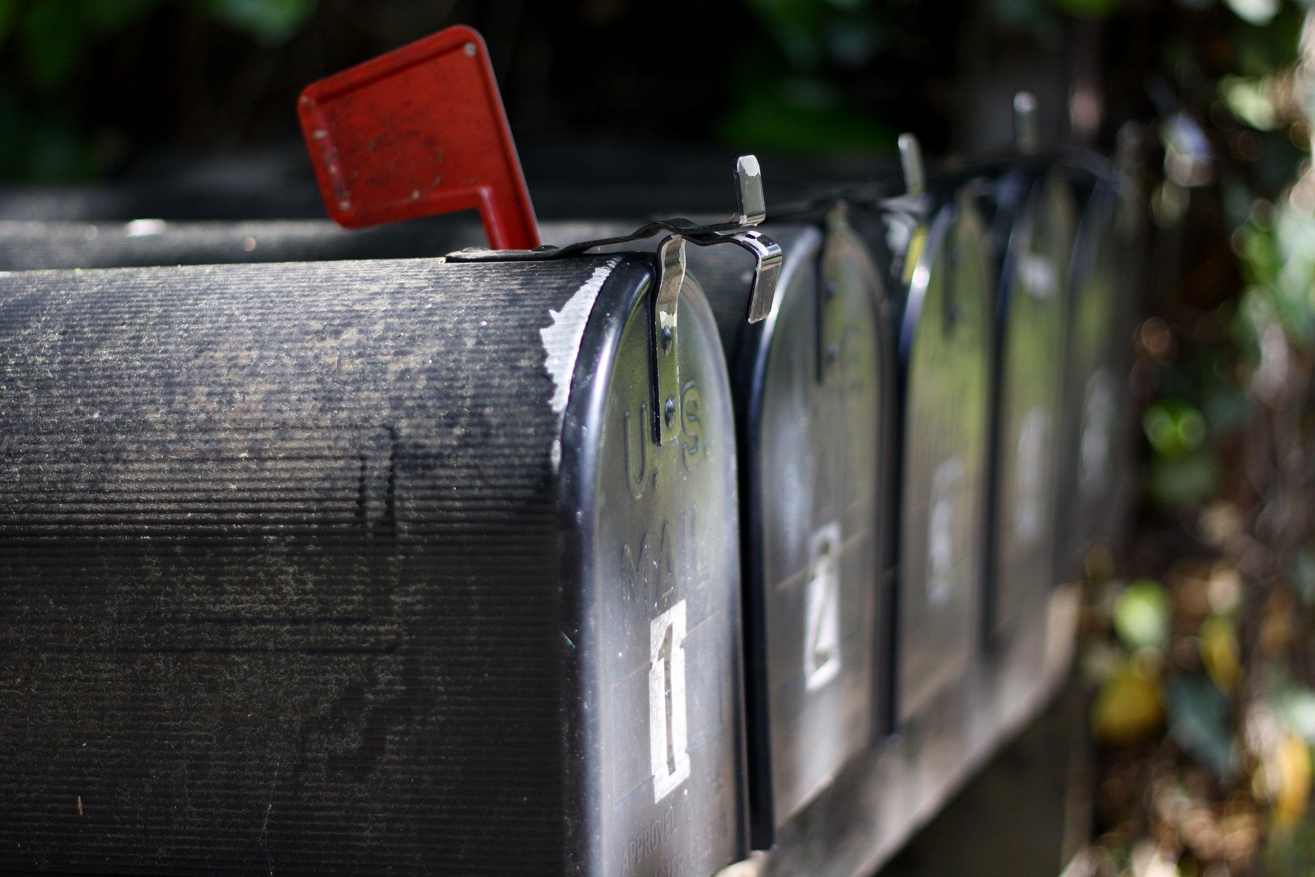 The Definitive Guide to Do-It-Yourself Every Door Direct Mail ...