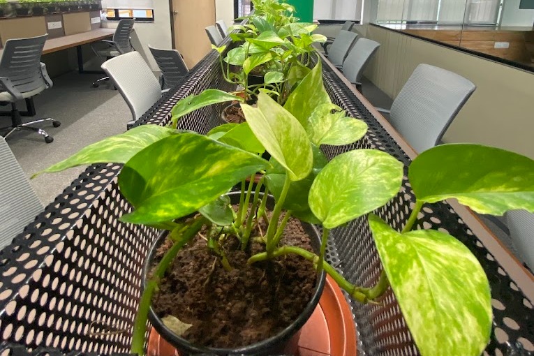 Deck Spaces - Coworking Space and Shared Office Space in Sharanpur, Nashik