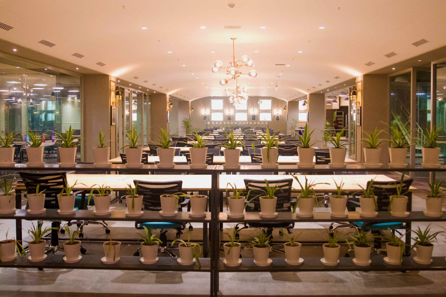 SpringHouse DLF Grand Mall - Coworking Space and Shared Office Space in ...