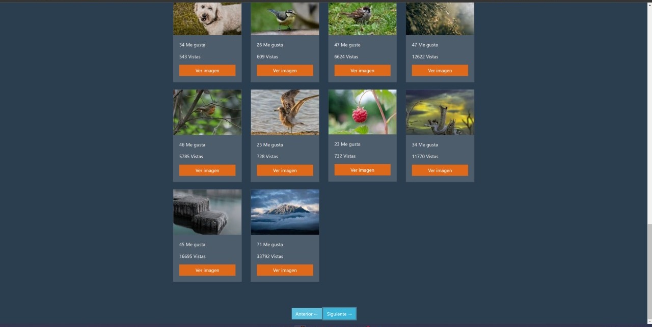 lautaro2021 (Lautaro Arnay) · GitHub