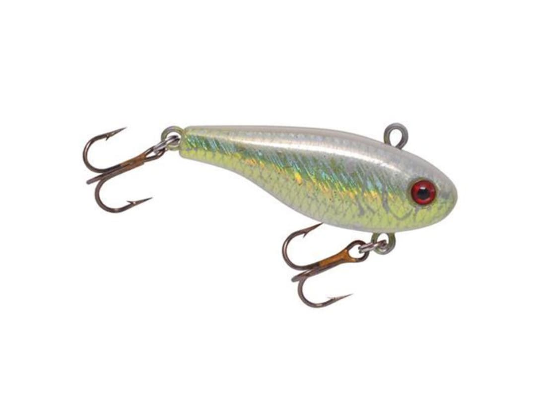 Lindy Darter | Karl’s Bait & Tackle