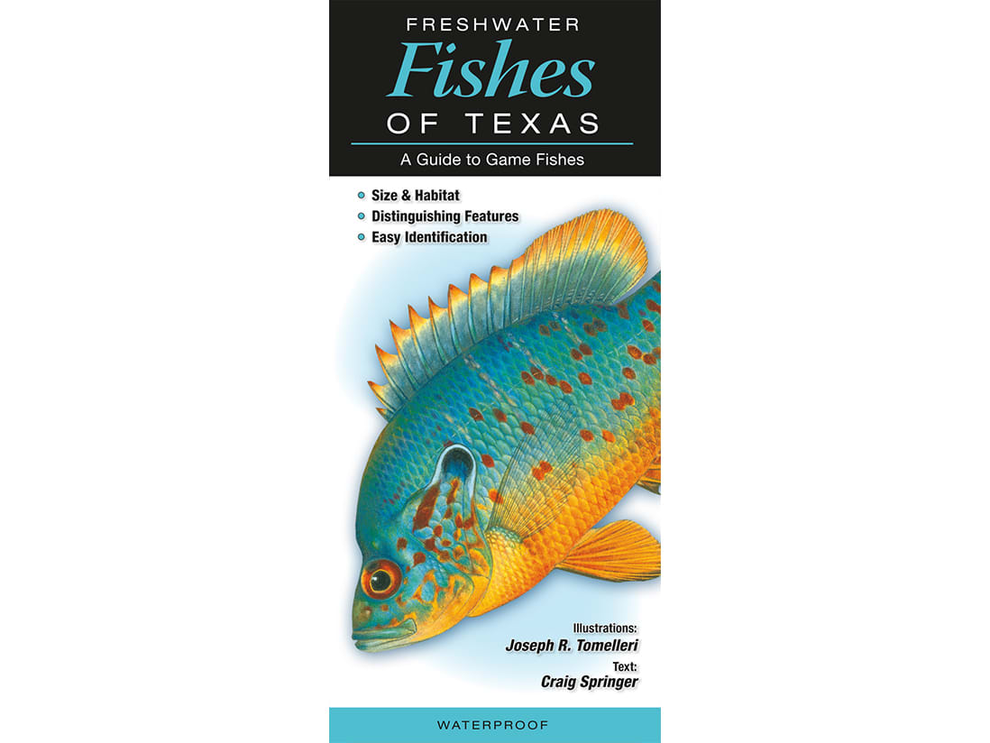 Freshwater Fishes Waterproof Reference Guide | Karl's Bait & Tackle