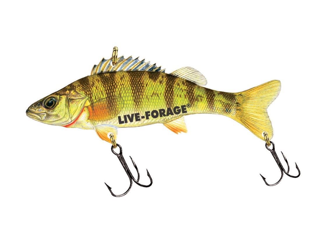 Northland Tackle Live-Forage Fish-Fry Minnow Trap