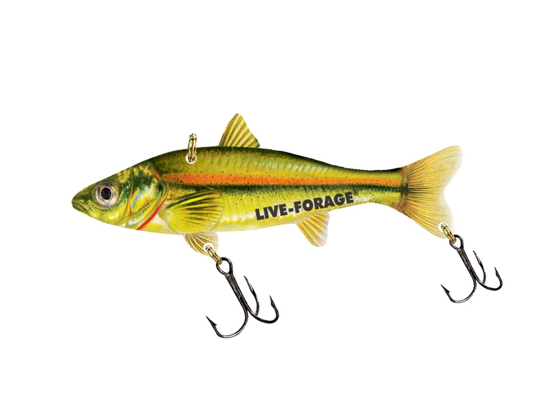 Northland Tackle Live-Forage Fish-Fry Minnow Trap
