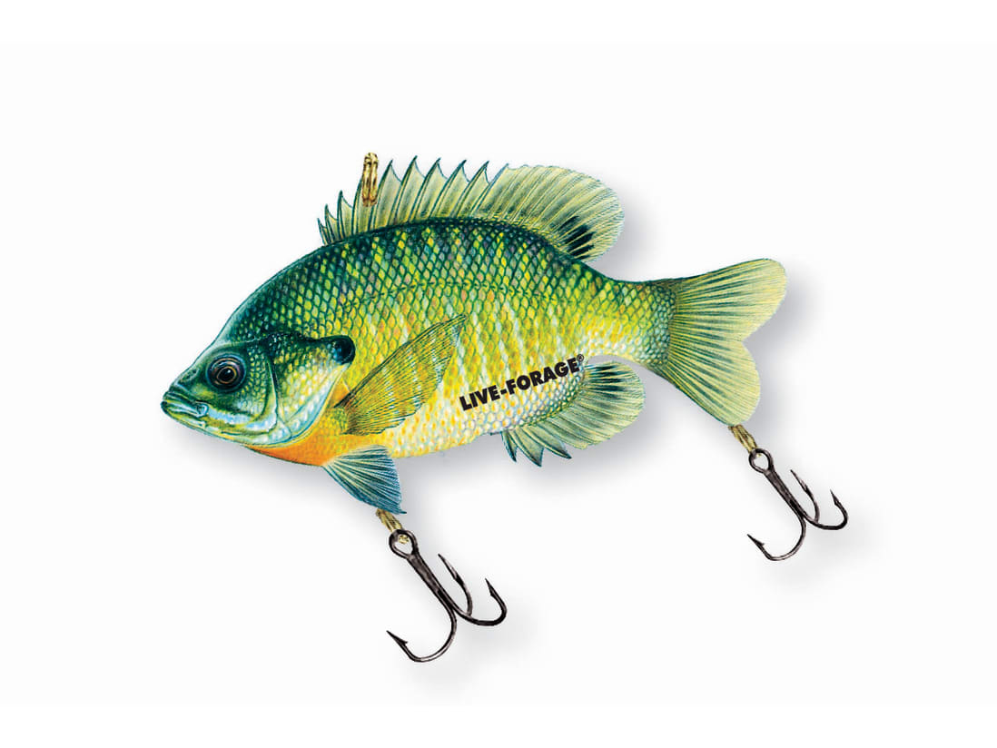 Northland Tackle Live-Forage Fish-Fry Minnow Trap