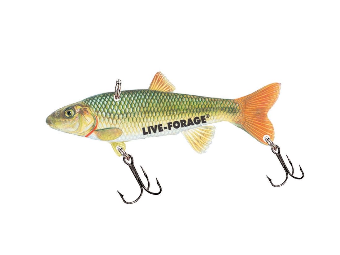 Northland Tackle Live-Forage Fish-Fry Minnow Trap