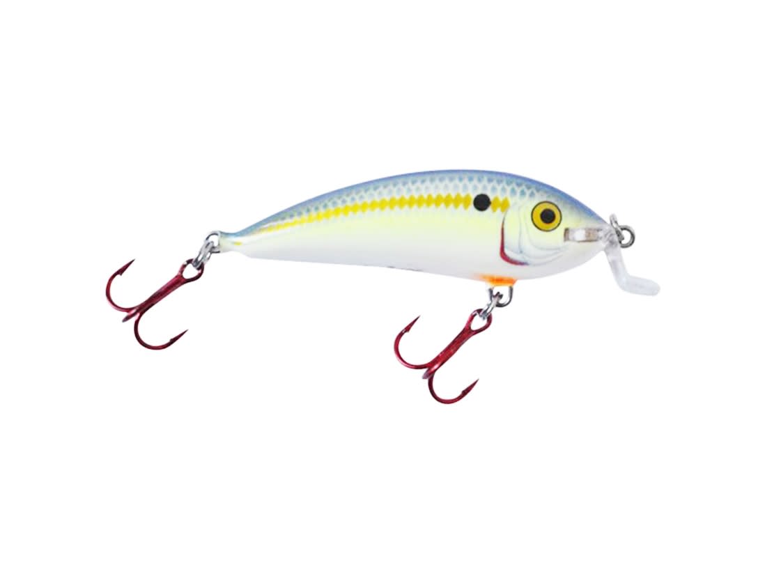 Bagley Shallow Balsa Shad | Karl's Bait & Tackle