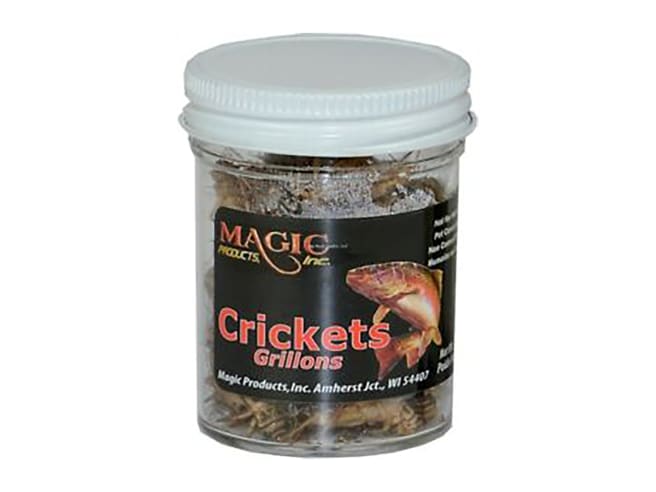Magic Preserved Crickets Jar | Karl’s Bait & Tackle
