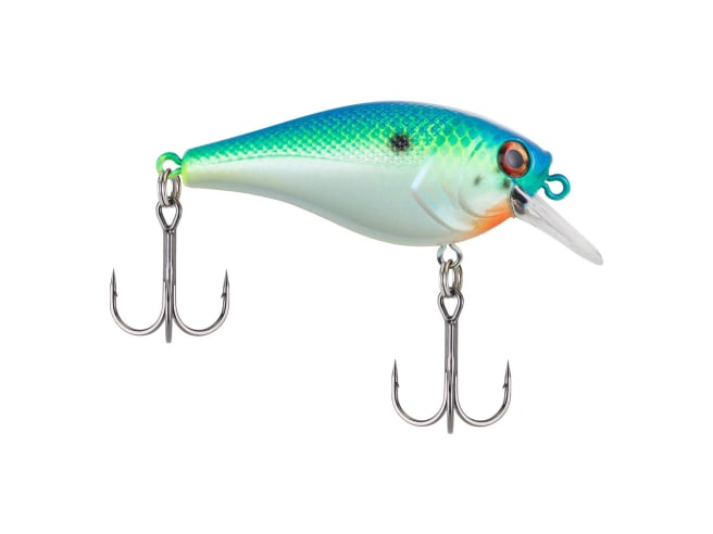 Berkley SquareBull | Karl’s Bait & Tackle