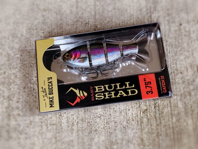 Catch Co. Mike Bucca Baby Bull Shad | Karl’s Bait & Tackle