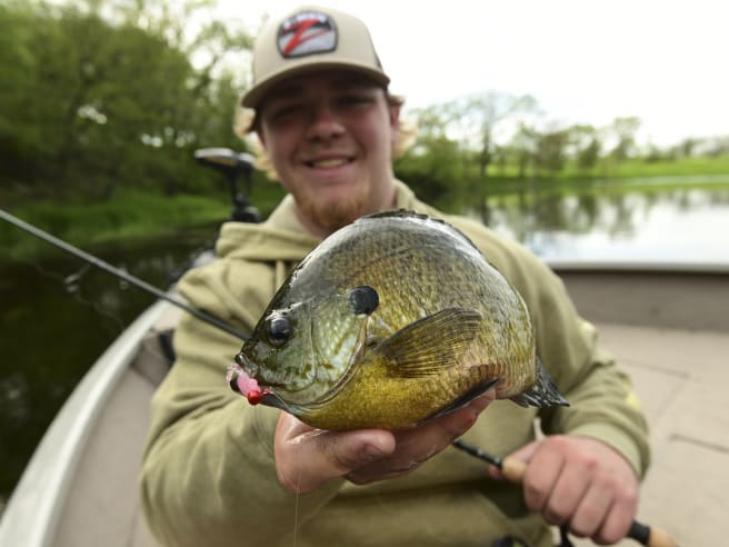 Z-Man Larvaz | Karl’s Bait & Tackle