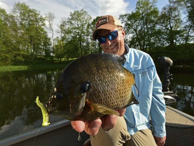 Z-Man Tiny Ticklerz | Karl’s Bait & Tackle