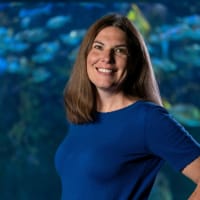 About us - Mystic Aquarium