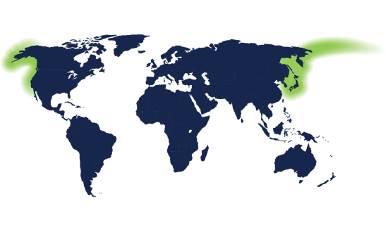 Giant Pacific Octopus - Mystic Aquarium