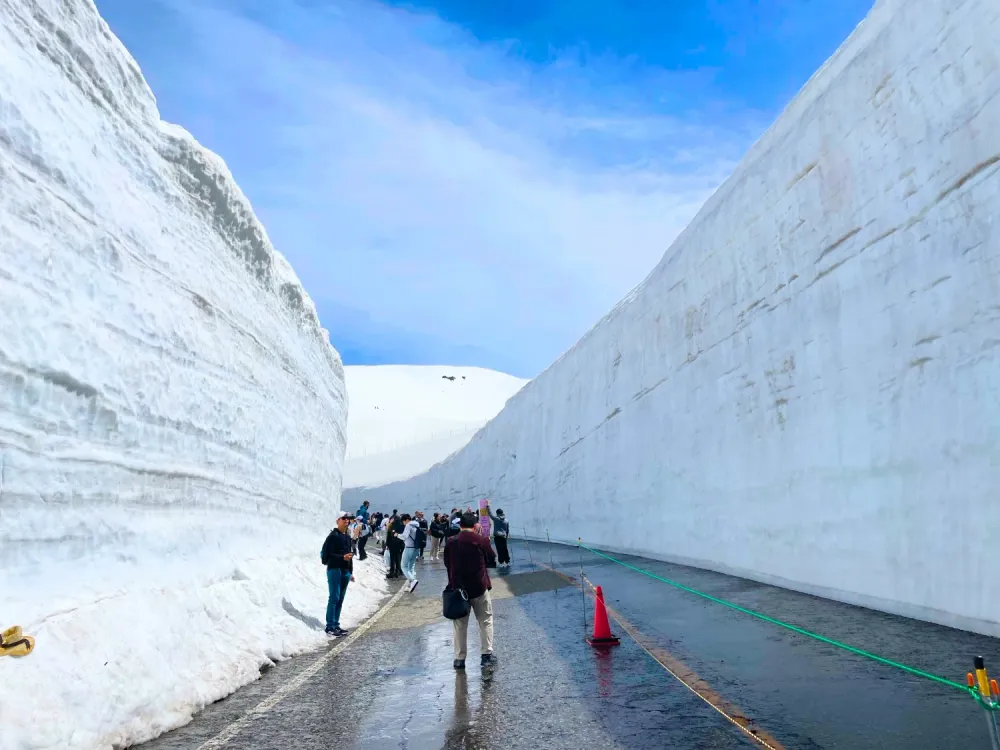 Yuki no Otani (Snow Wall / Corridor) - Famous Snow Walls that go as ...