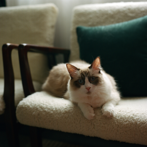 Skala Studio Ltd - in East Grinstead, RH19